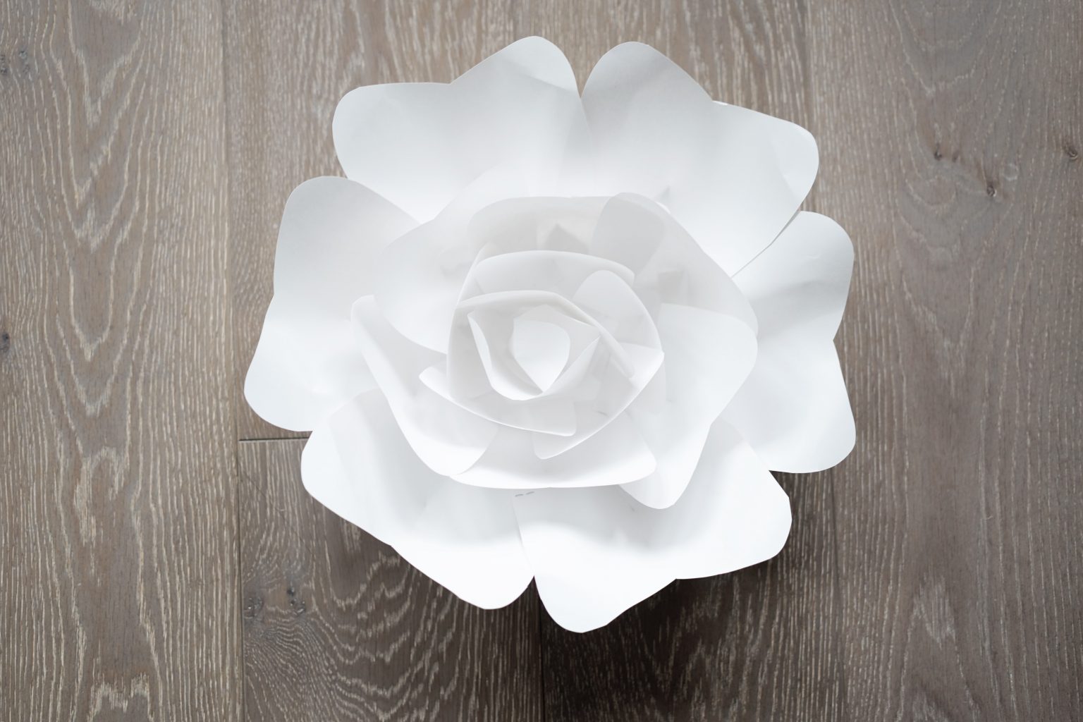 Large Paper Flower Set