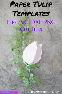 3D Paper Tulip Template With Free Printables