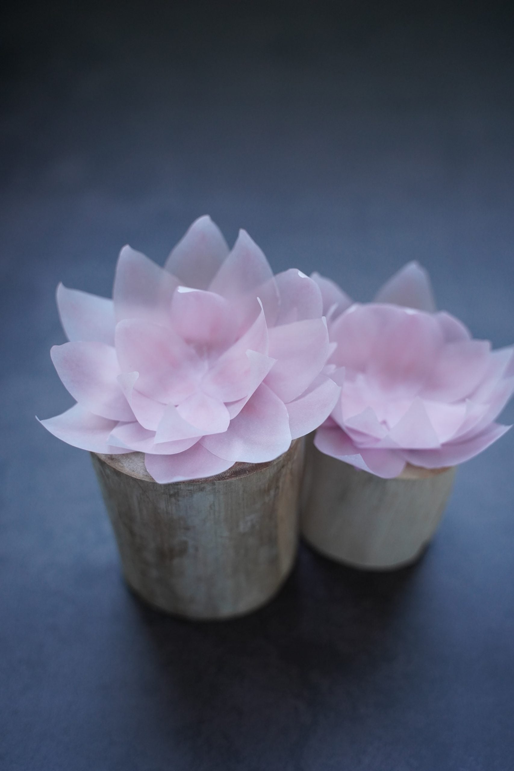 Paper Lotus Flower Template