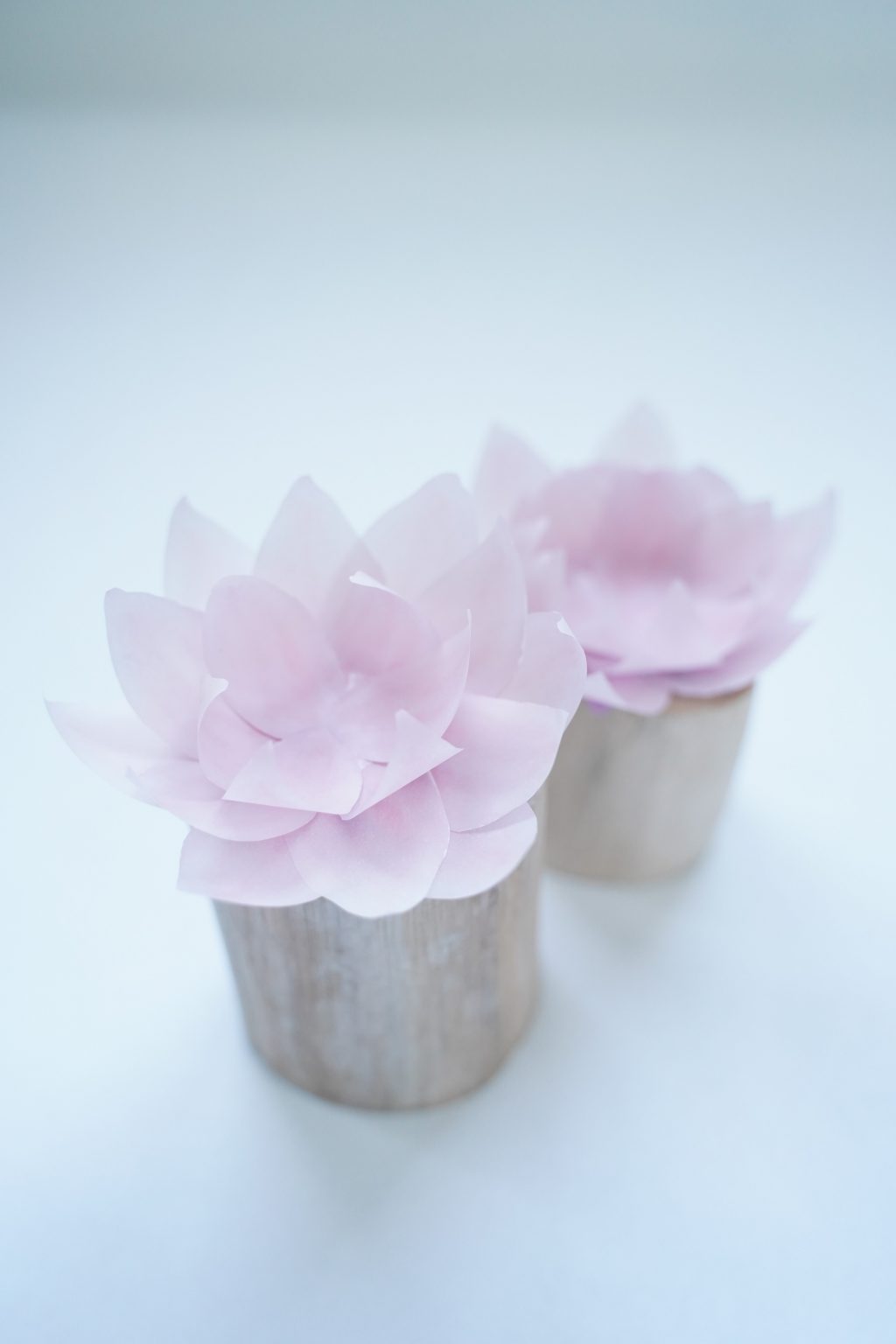 Paper Lotus Flower Template