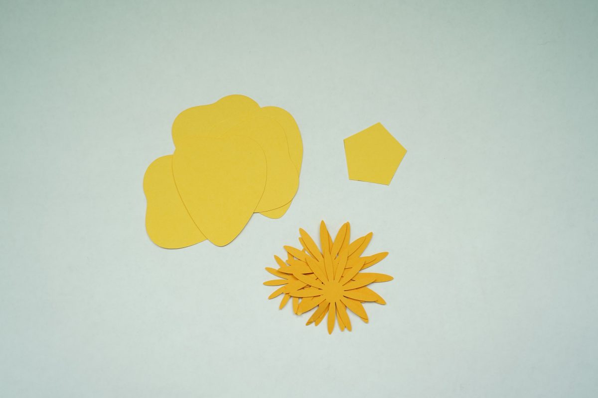 Paper Buttercup Flower