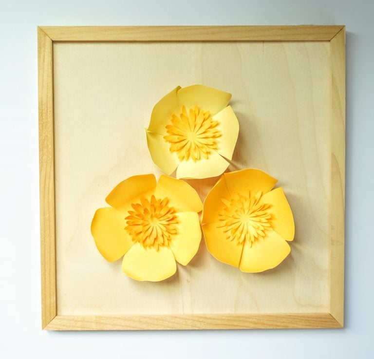 Paper Buttercup Flower
