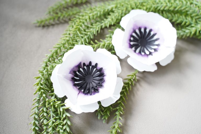 DIY Easy Anemone Paper Flower