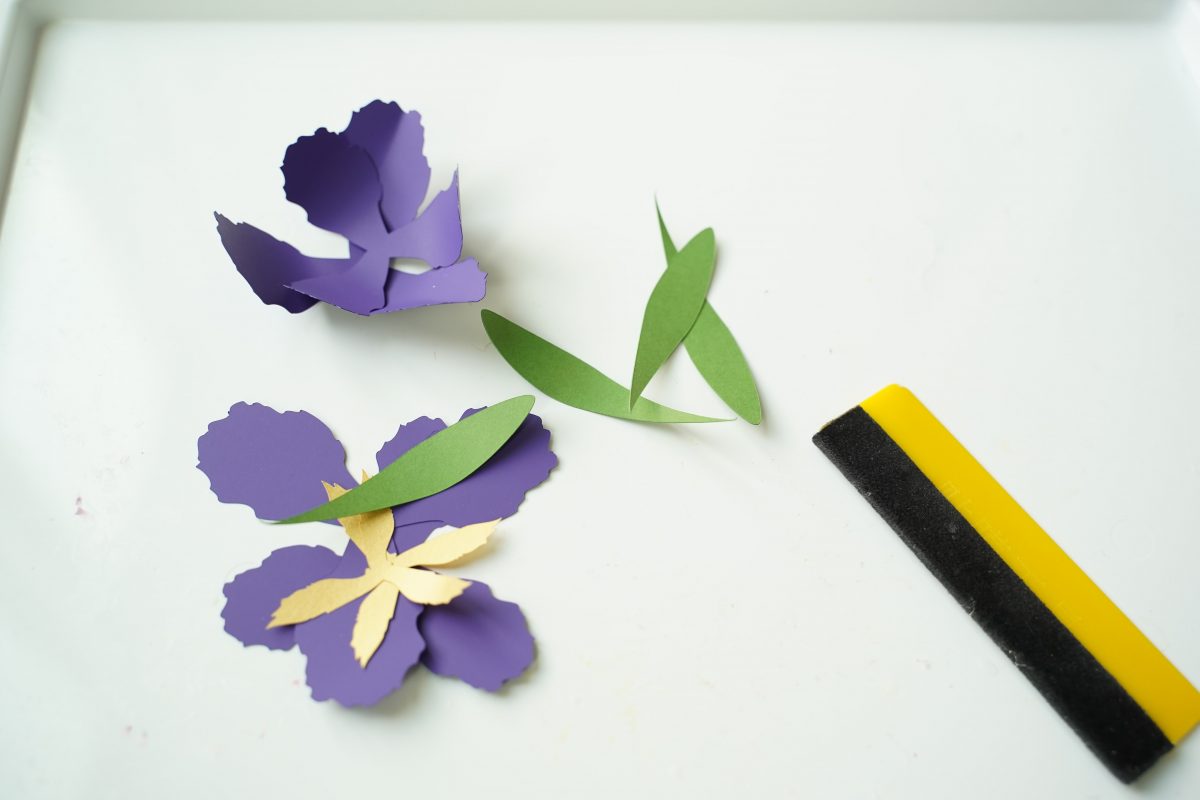 Paper Iris Flower Template Free